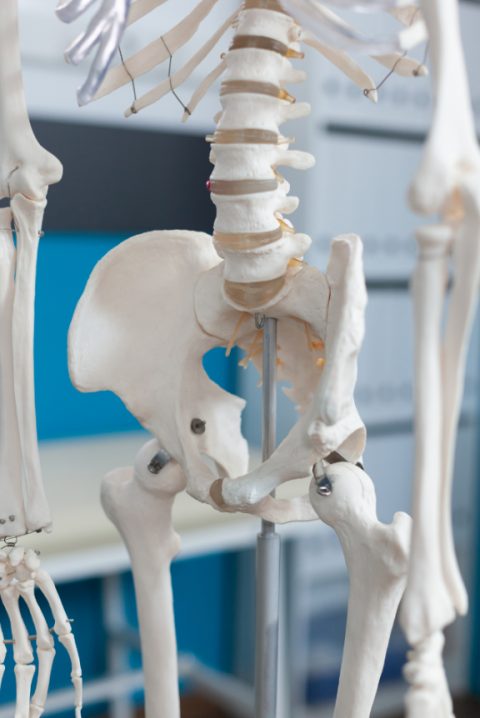 Dr Richard Morkel | Stellenbosch Orthopaedic Surgeon